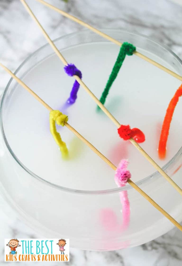 How to Grow Borax Crystals (Step by Step Directions with Photos)