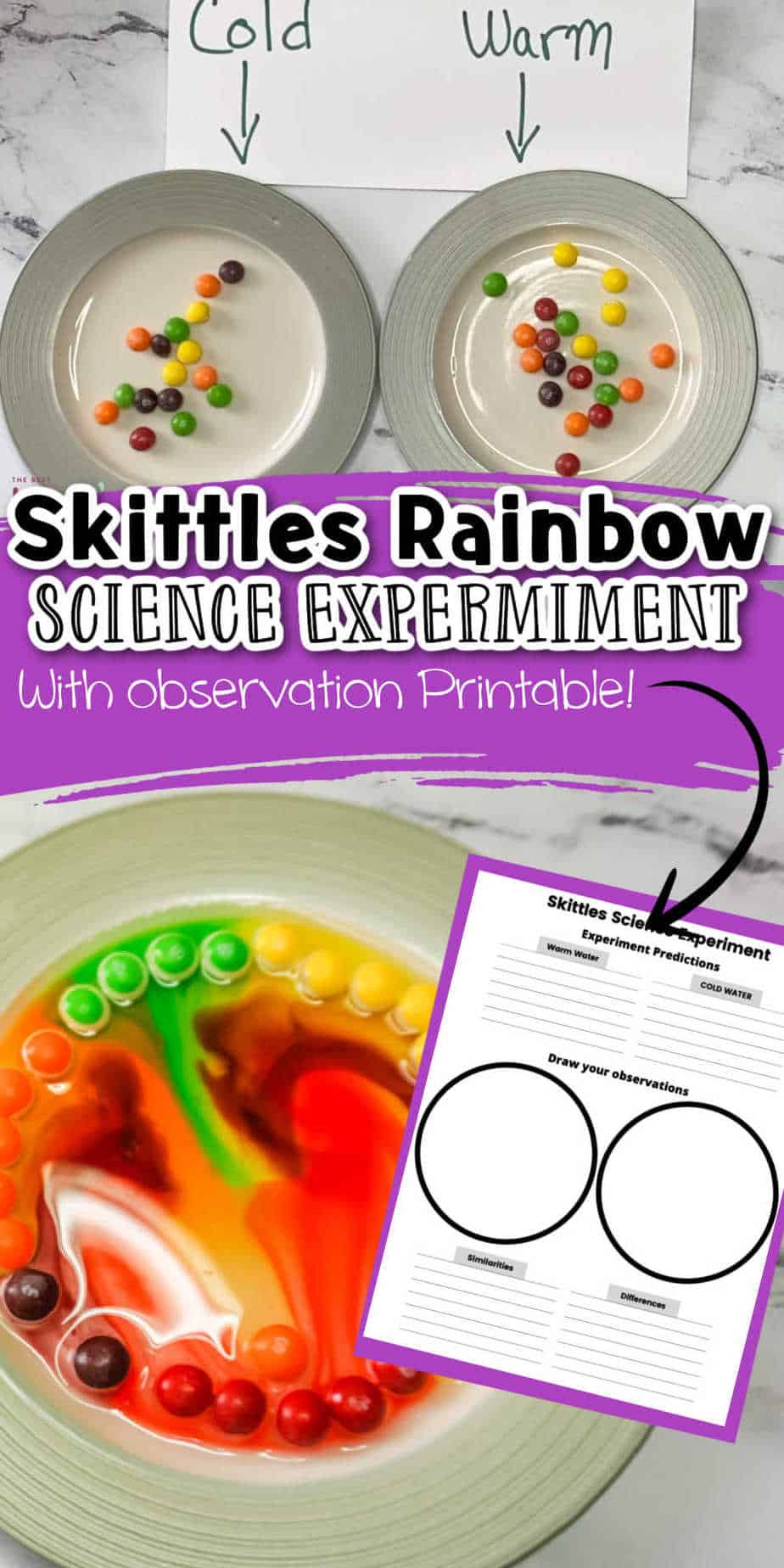 Rainbow Skittles Science Experiment