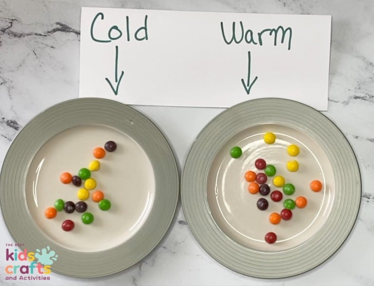 Rainbow Skittles Science Experiment