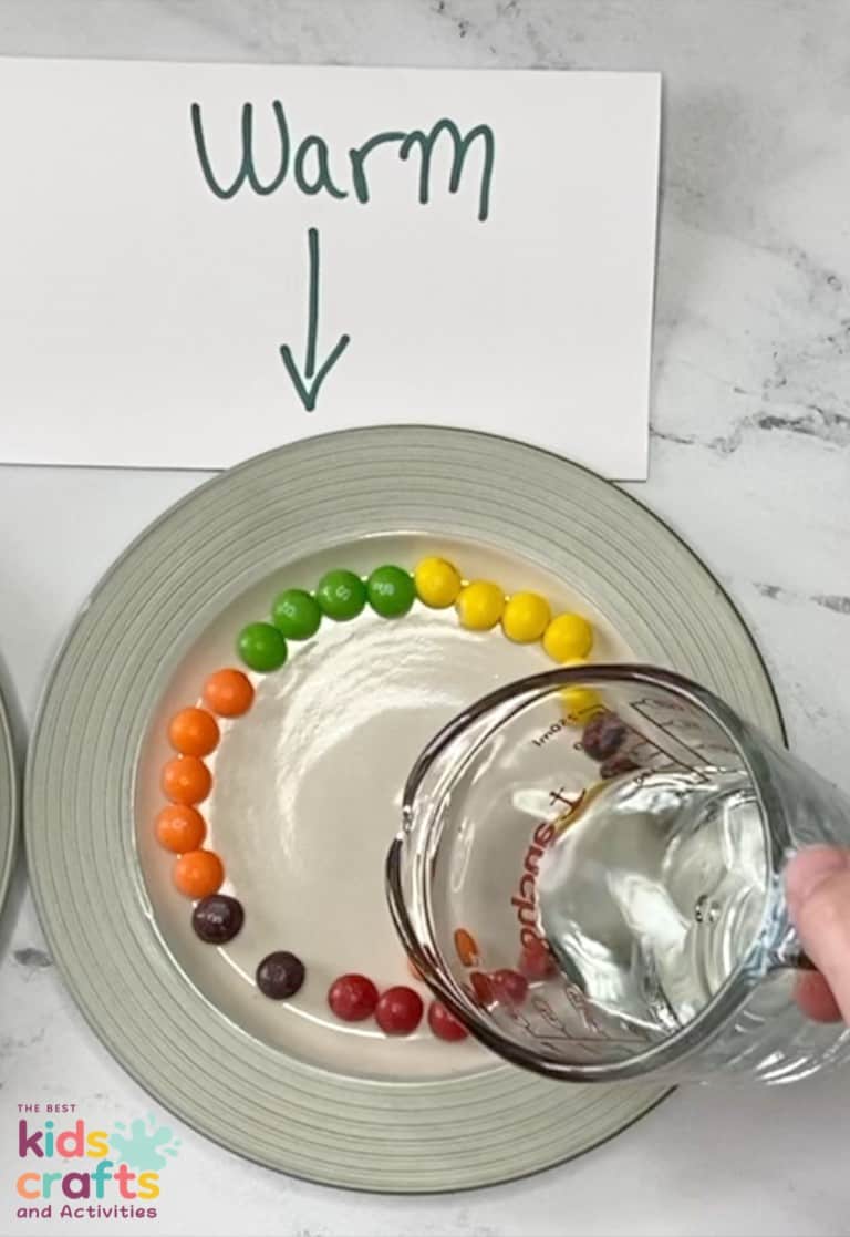 Rainbow Skittles Science Experiment