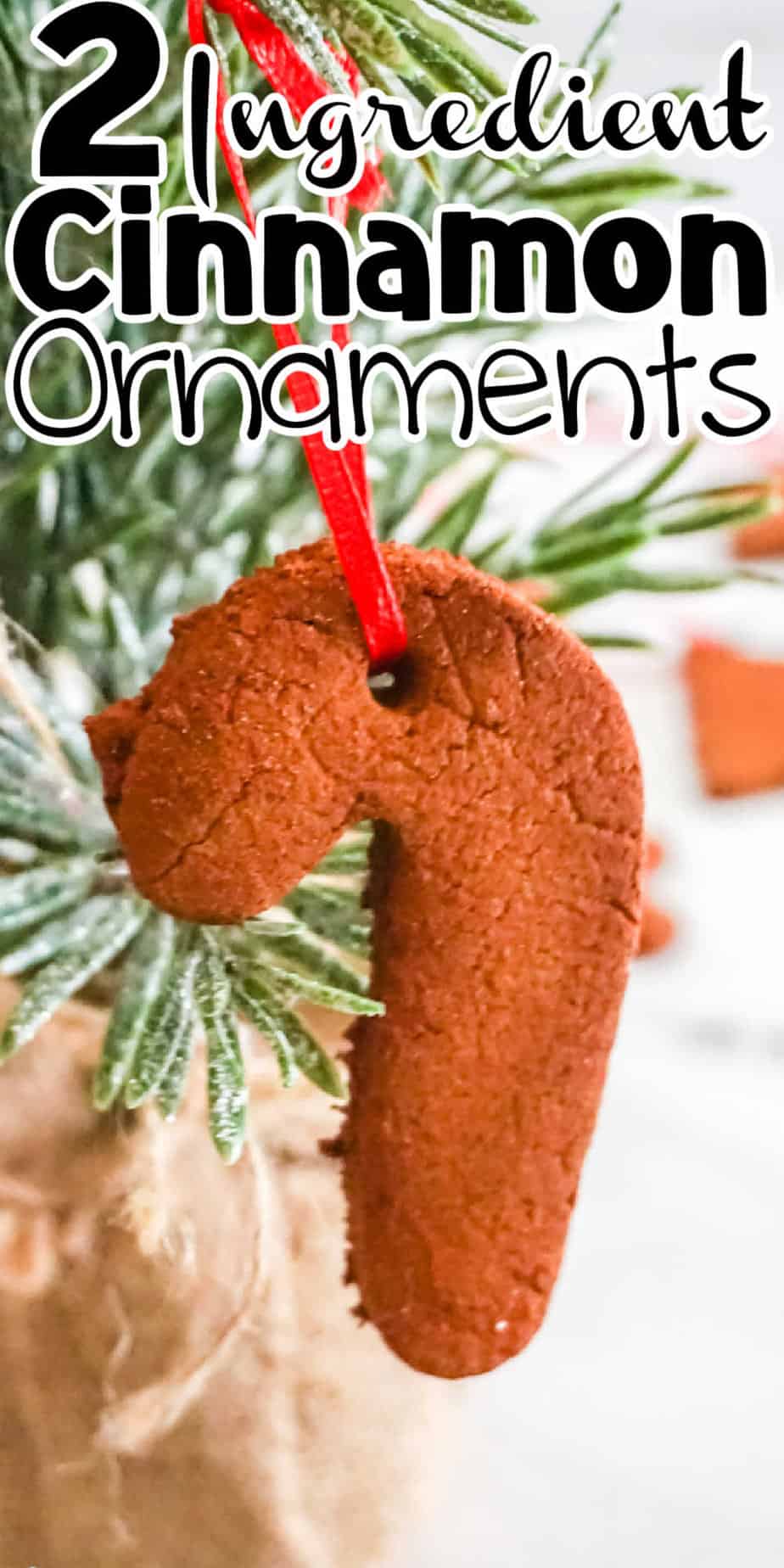 Easy Homemade 2 Ingredient Cinnamon Ornaments