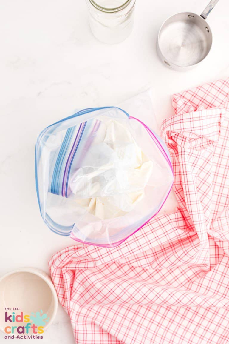 Homemade Ice Cream in a Bag Recipe • The Best Kids Crafts and Activities